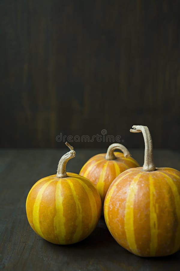 Little Pumpkins. Decorative Pumpkin on the Table. Halloween. View from ...
