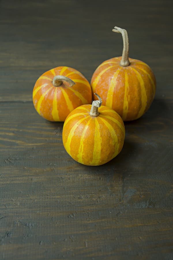 Little Pumpkins. Decorative Pumpkin on the Table. Halloween. View from ...