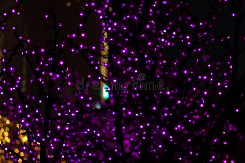 Little Purple Lights at Night Background Stock Image - Image of flare ...