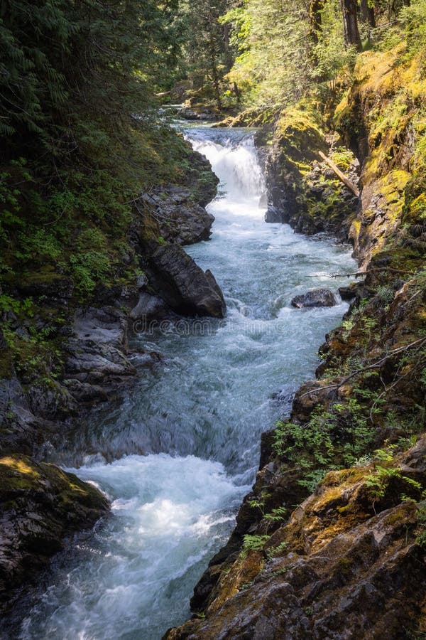 Little Qualicum Falls Flows into the River Stock Photo - Image of ...