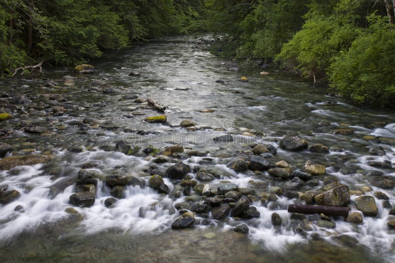 Little Qualicum River Spilling into the Ocean at Low Tide Stock Image ...