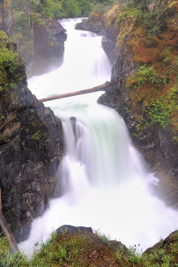 Little Qualicum River Spilling into the Ocean at Low Tide Stock Image ...