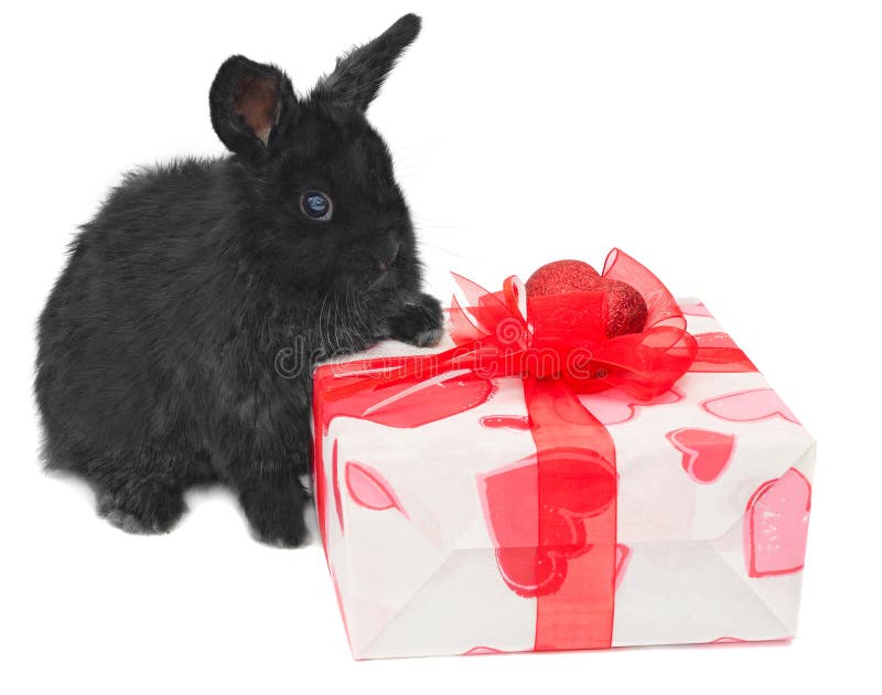 Little Rabbit between the Boxes with Gifts Stock Photo - Image of ...