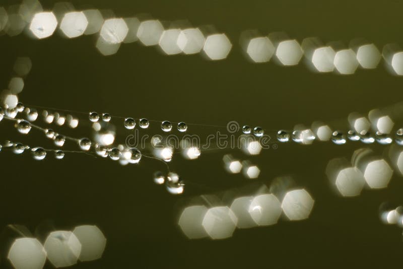 Reflection of the Electric Light in the Rain Stock Photo - Image of ...