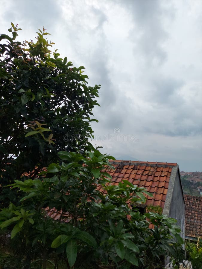 A Little Rain is Quite Nice. Gorgeous Young Blonde Woman Wearing a Red ...