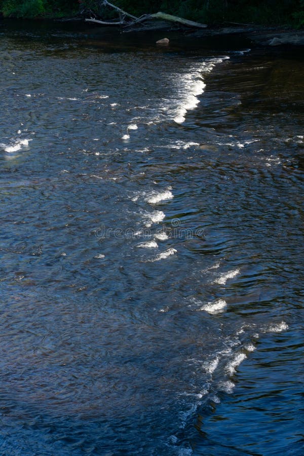 Little Rapids Formed in a Line on a River Stock Image - Image of green ...