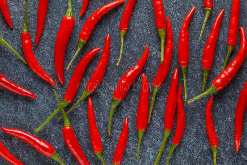 Little Red Chili Peppers on a Blue Background. Vegetable Background ...