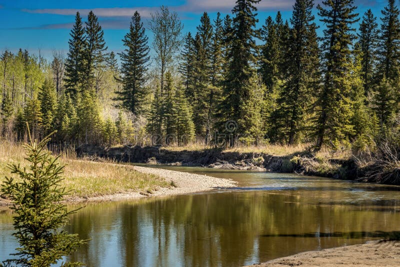 Little Red Deer River Meanders through the Park Red Lodge PP Alberta ...