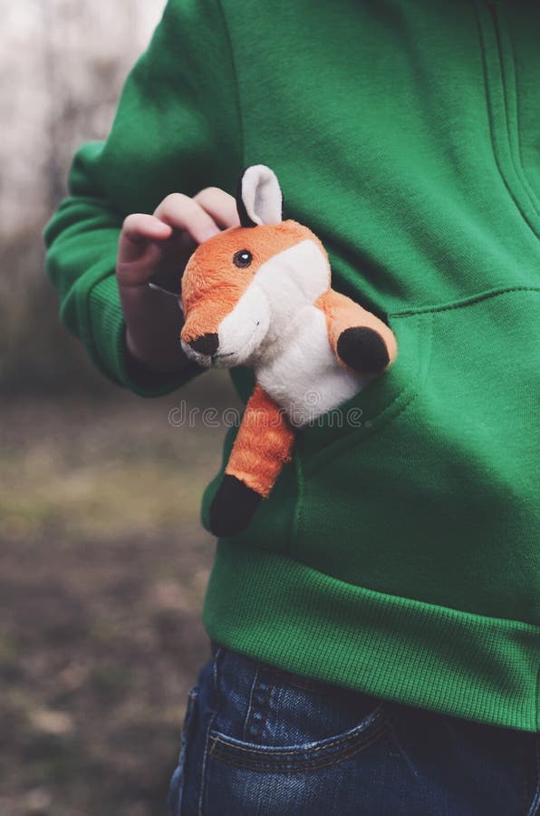 226 Red Fox Kids Stock Photos - Free & Royalty-Free Stock Photos from ...