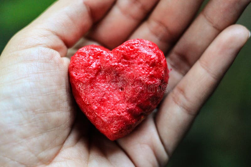 Little red heart stock photo. Image of idea, hold, lifestyle - 76499634