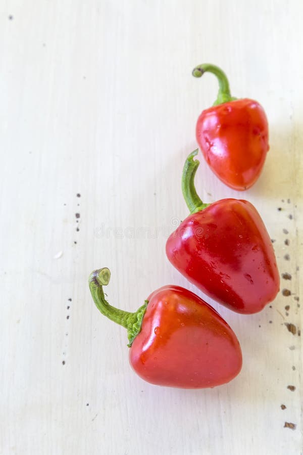 Little Red Peppers stock photo. Image of garden, food - 33722246