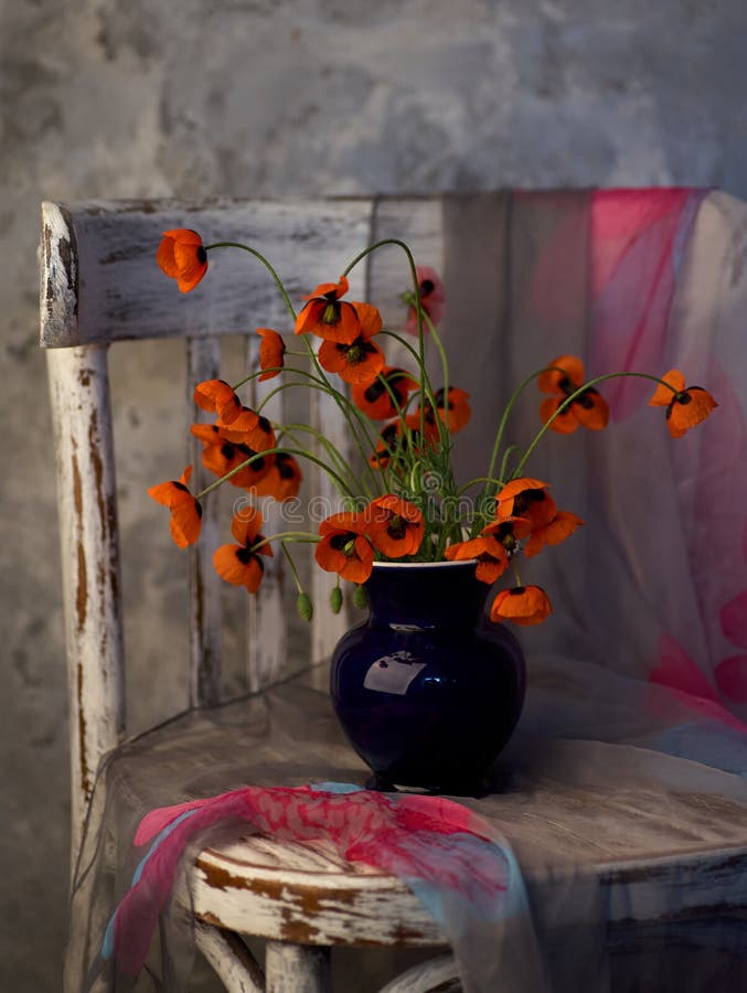 A Little Red Poppies Bouquet Stock Photo - Image of fragility ...