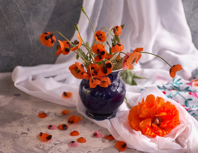A Little Red Poppies stock image. Image of dark, idyllic - 237026493