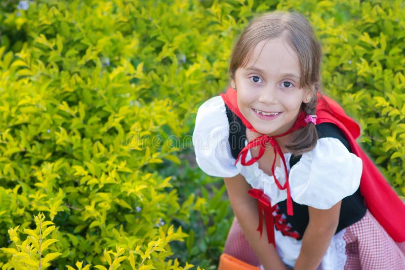 Little Red Riding Hood stock image. Image of hood, fairy - 29583765