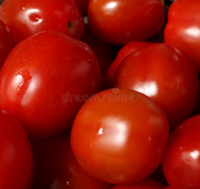 Little red tomatoes stock photo. Image of ripe, organic - 14074126