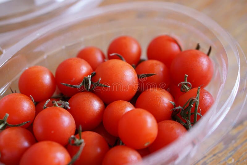 Fresh tomatoes stock image. Image of fresh, healthy - 123939191
