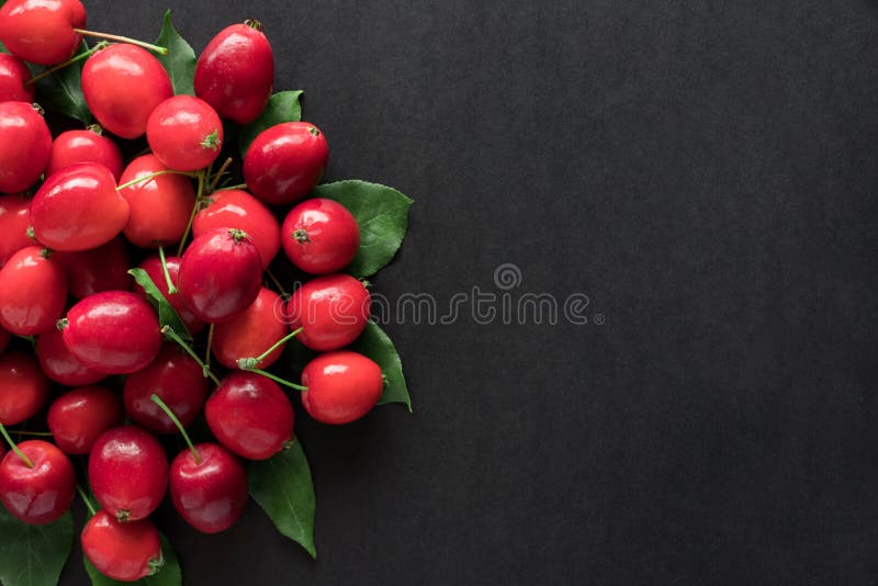Little Red Wild Apples on Black Background Stock Photo - Image of ...