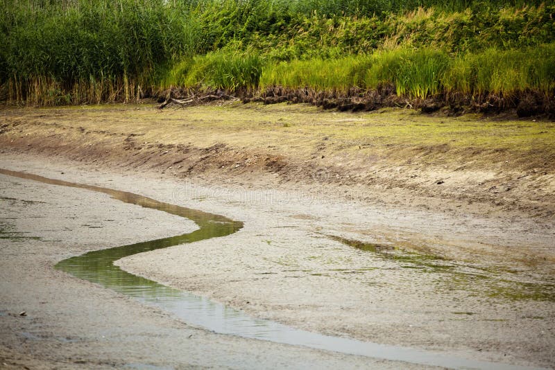 Little river stock photo. Image of flora, water, multicolor - 25106656