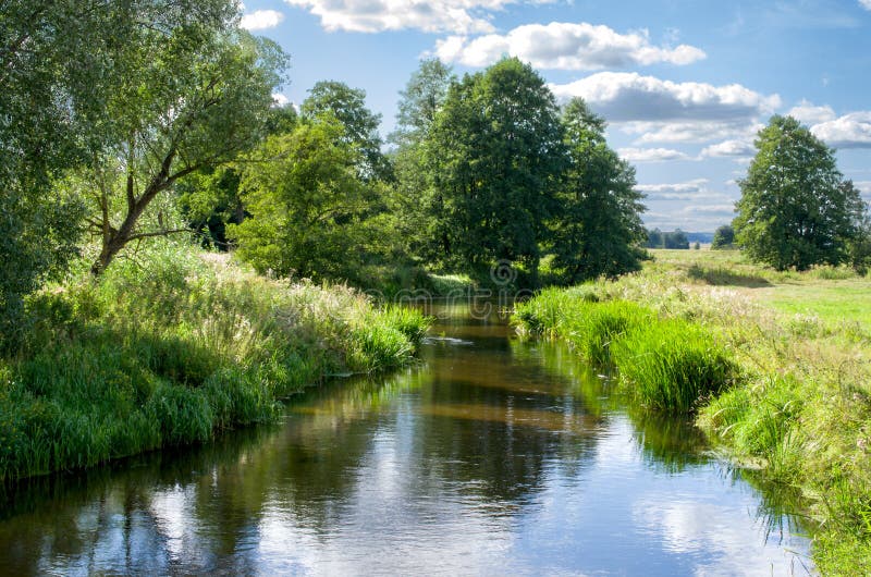 Little river stock photo. Image of beach, color, forest - 38395522