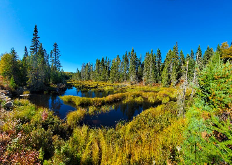 Little River with Fall Colors in Canadian Forest, Quebec Stock Image ...