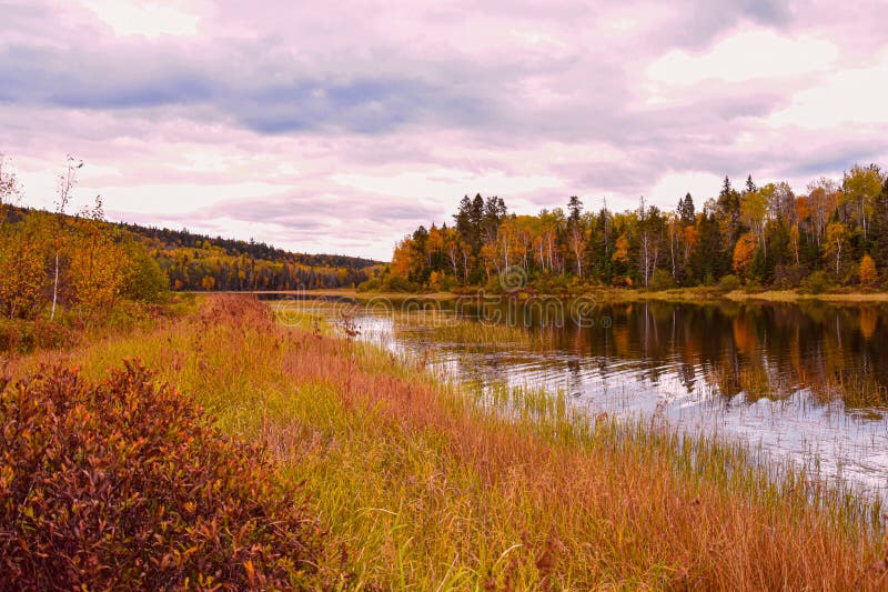 Little River with Fall Colors in Canadian Forest, Quebec Stock Image ...