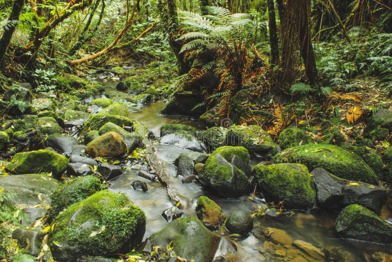 Little River Flowing through Ashburton Lakes District, South Island ...