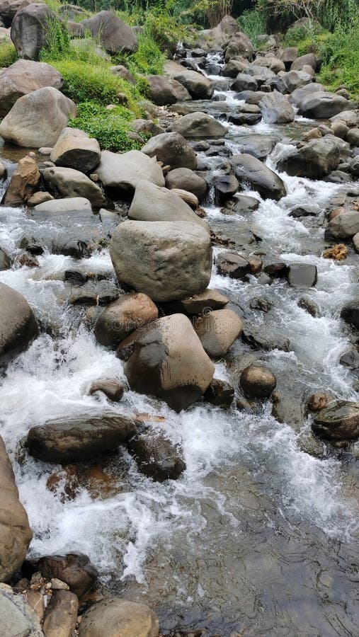 Little River with Many Stones, River Bank Stock Image - Image of river ...