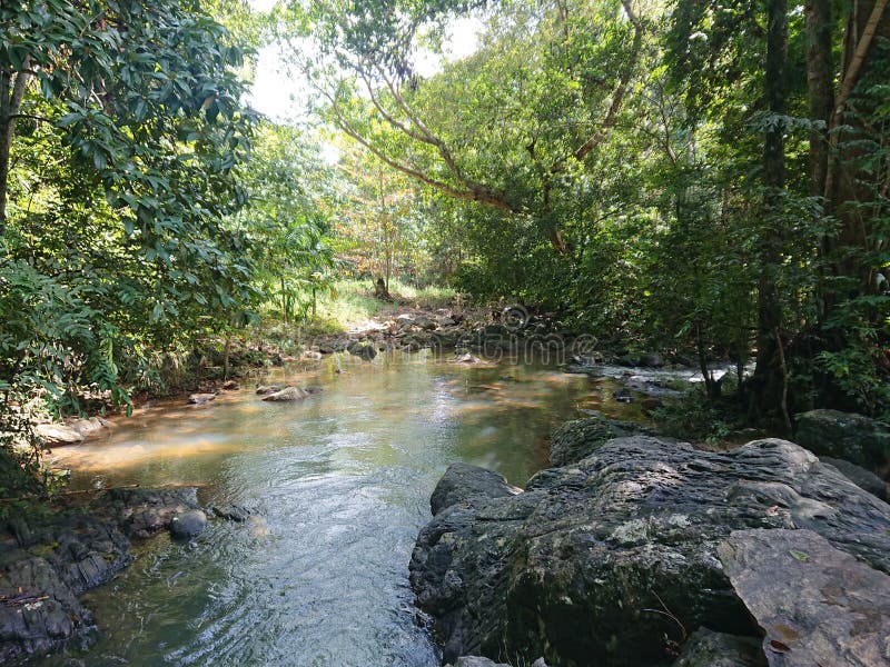 The Little River in Sri Lankan Forest with Stones Stock Image - Image ...