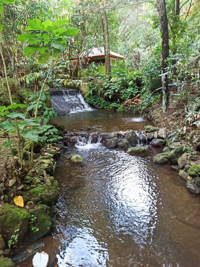 Little River at Subang West Java Stock Photo - Image of west, little ...