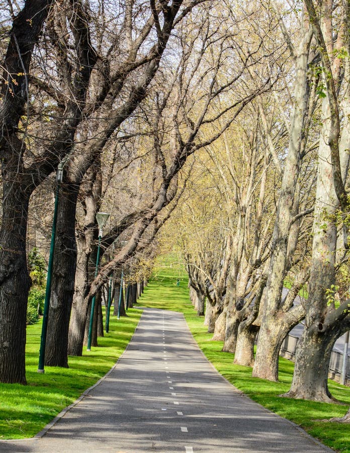 Little road stock image. Image of path, grass, autumn - 35253769