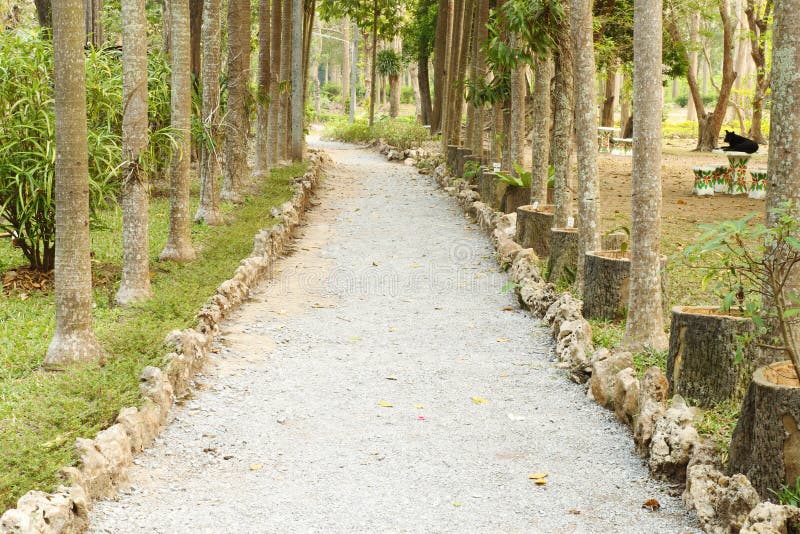 Little Road Through Row Of Trees Stock Image - Image of lawn, line ...