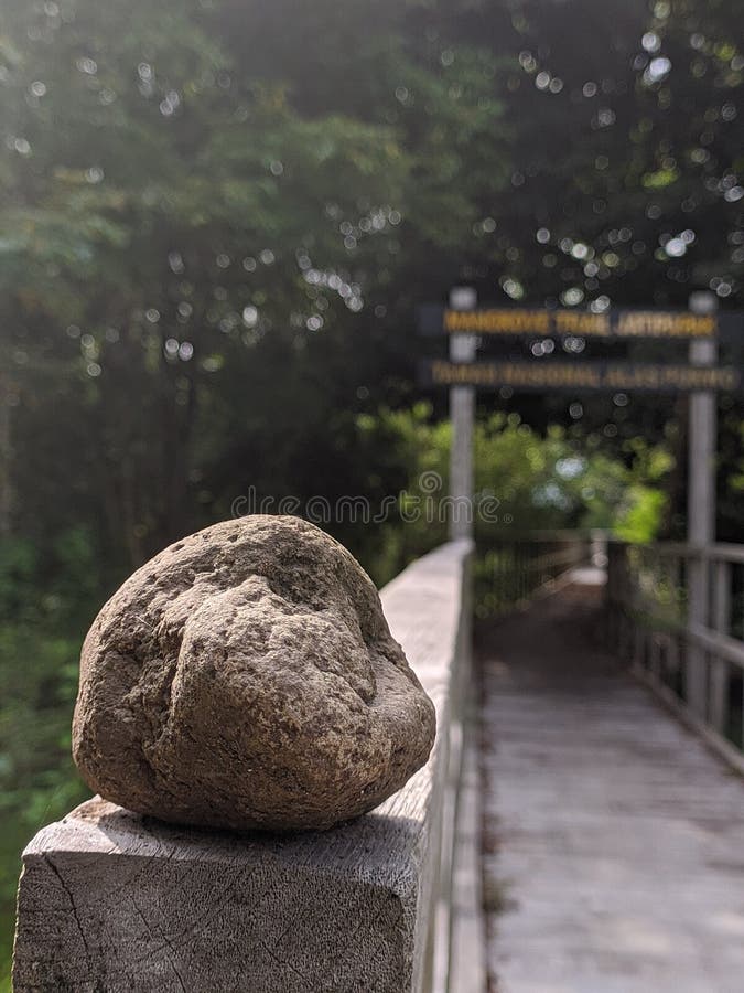 Little Rock Closeup at the Edge of Bridge Stock Photo - Image of green ...