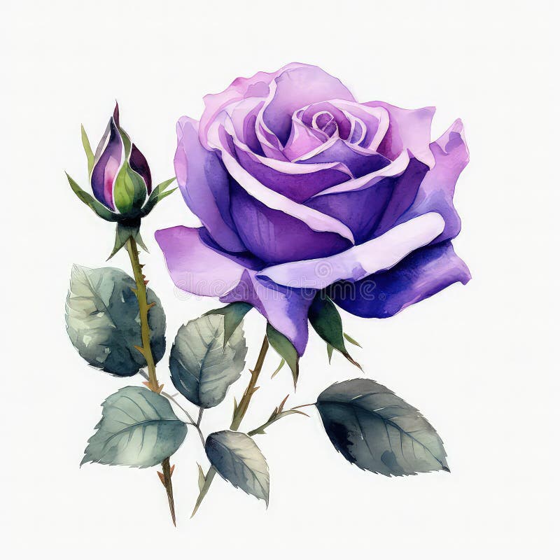 Little Rose illustration stock illustration. Illustration of clipart ...