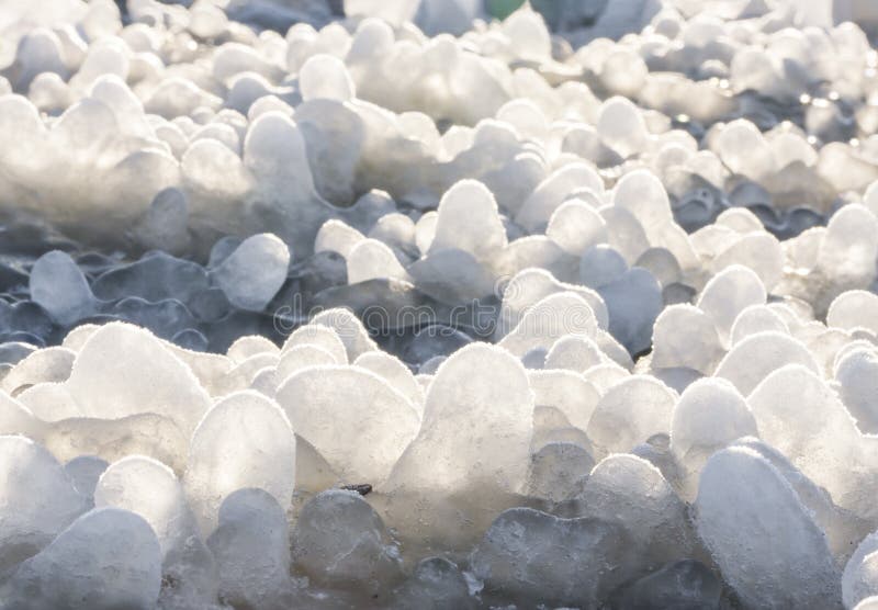 Little Round Icicles on the Ground Stock Photo - Image of frost, little ...