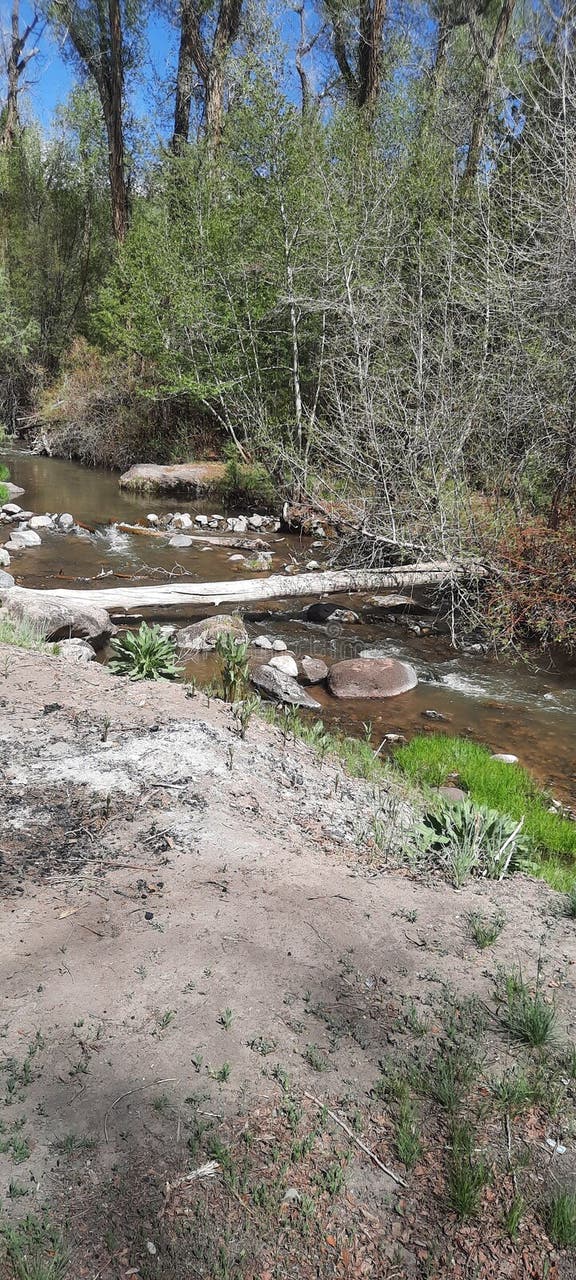 Little running creek stock image. Image of pond, rock - 250235021