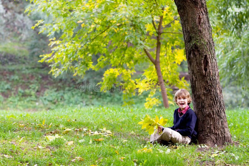 Little School Boy Under Colorful Autumn Tree Stock Photo - Image of ...