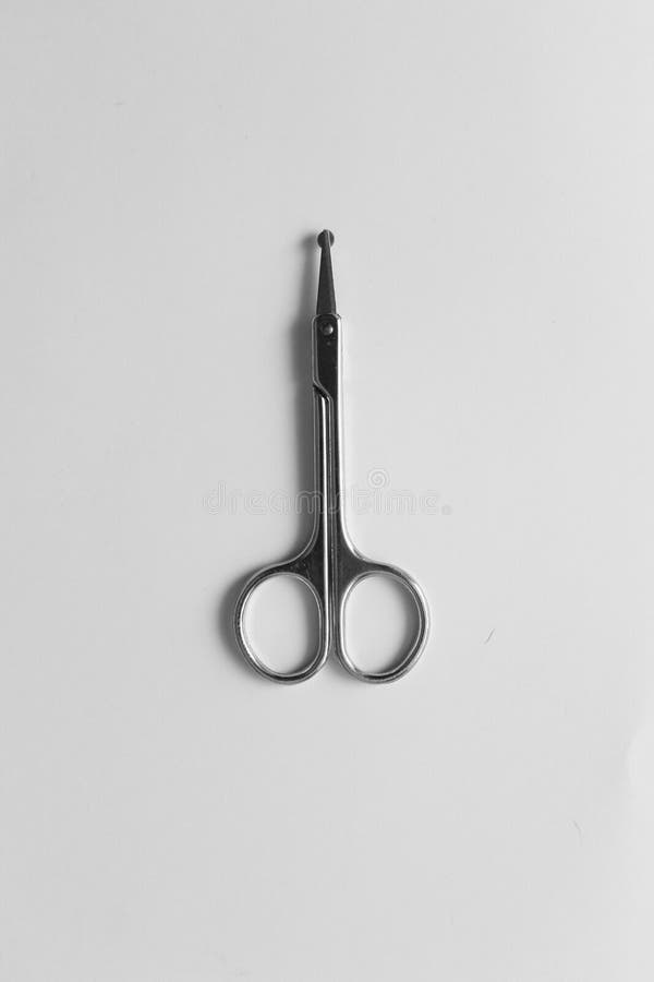 Scissor Plain Stock Photos - Free & Royalty-Free Stock Photos from ...