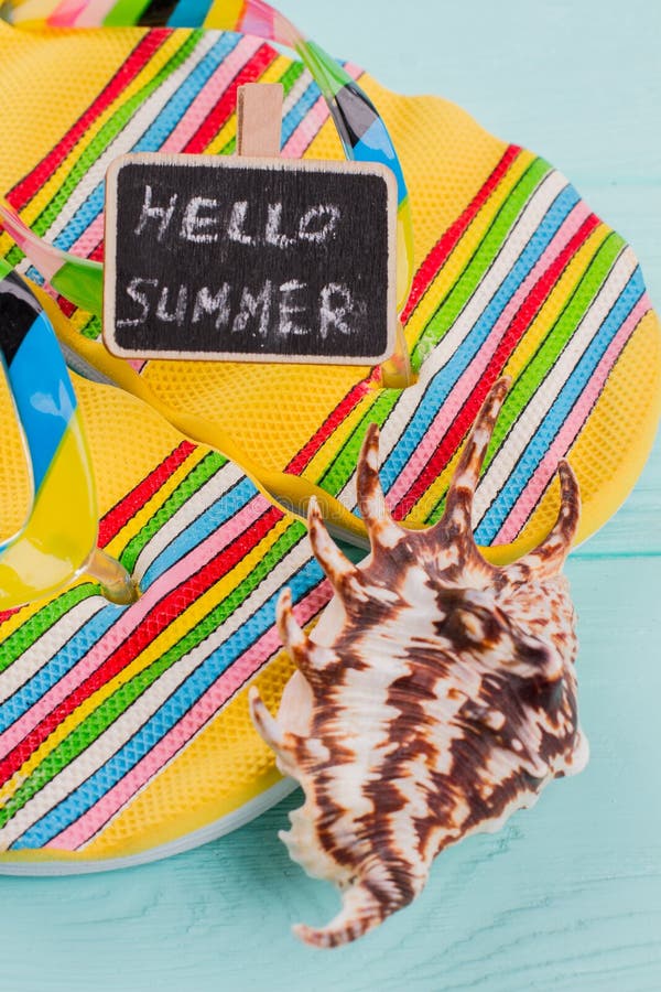 Little Seashell stock image. Image of macro, mental, seashell - 45280935 Little Seashell stock image. Image of macro, mental, seashell - 45280935