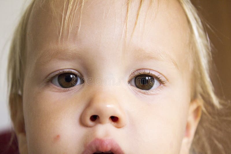 Little serious toddler stock photo. Image of child, baby - 113858284