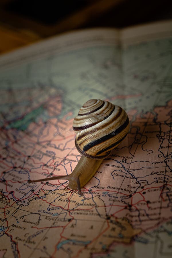 Little Snail Crawling Across the World Map Stock Image - Image of leaf ...