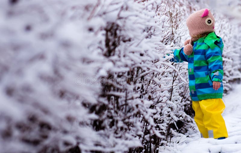 Exploring the bush stock image. Image of outdoor, nationalpark - 3510675