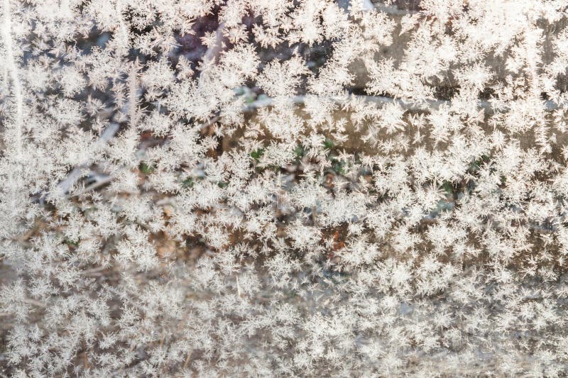 Little Snowflakes on Glass. Close Up.Winter Background. Stock Photo ...