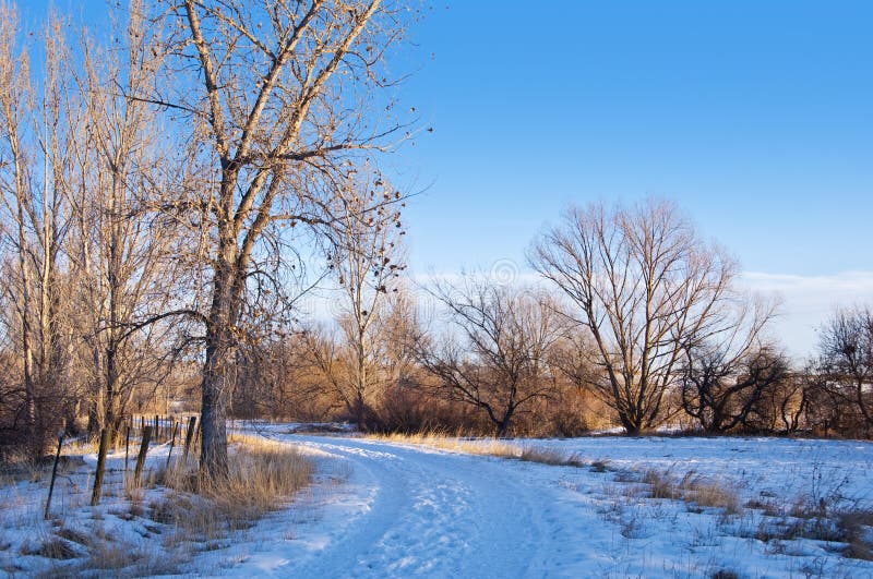 Little Prairie Farm in Winter Stock Image - Image of pasture, little ...