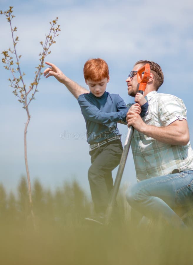 Little Son Helps His Father To Plant a Tree Stock Image - Image of ...