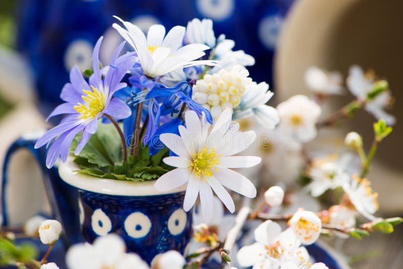 Little Spring Flowers in a Eggcup Stock Photo - Image of green, flora ...