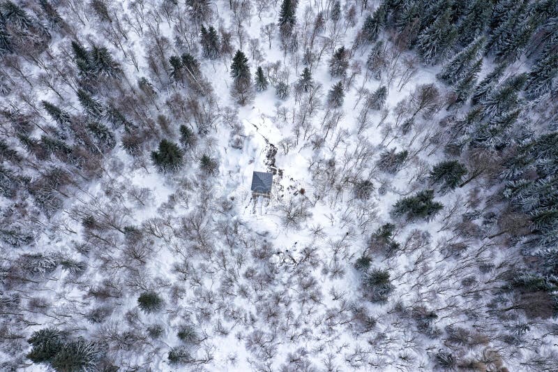 Little Square Building in the Middle of Winter Woods Stock Photo ...