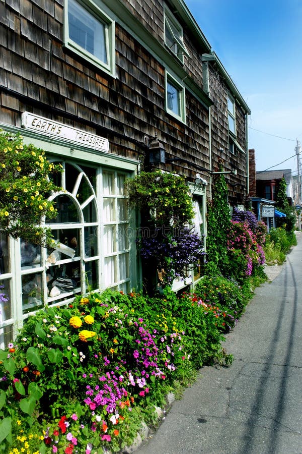 Little Store stock image. Image of flower, store, massachuesetts - 145317