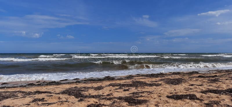 Little storm at sea stock photo. Image of mudflat, vacation - 237009468