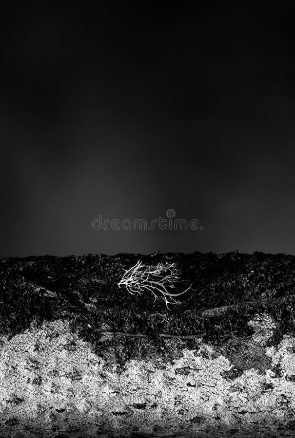 146 Stranger Things Background Scrapbook Stock Photos - Free & Royalty ...