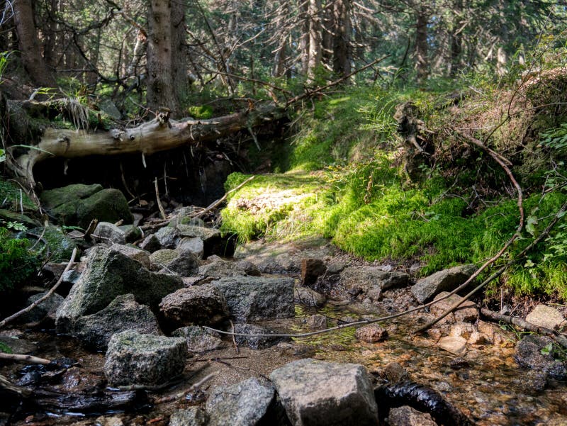 Little Stream in Giant Mountains. Stock Photo - Image of beautiful ...